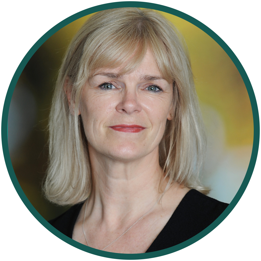 Meet the Consultants | AHEP