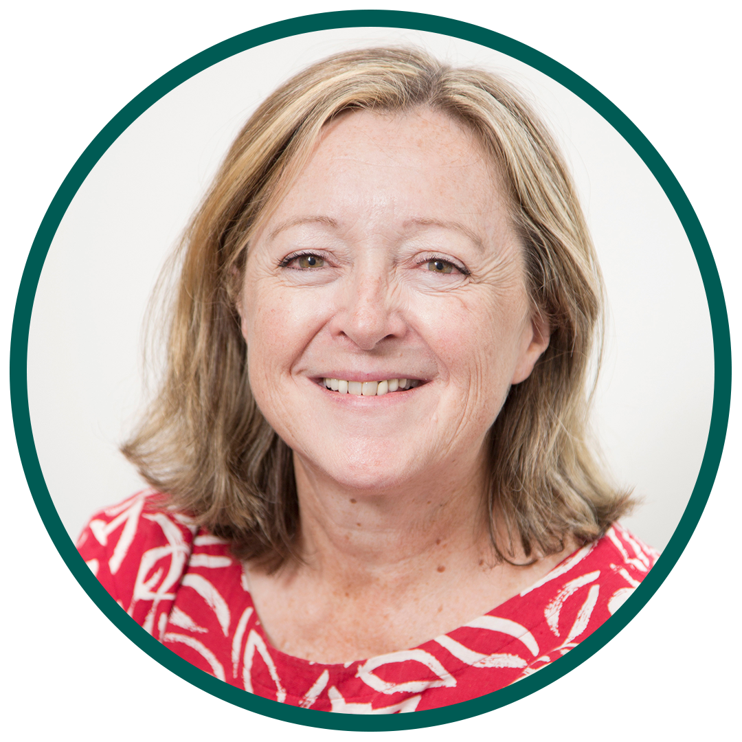 Meet the Consultants | AHEP
